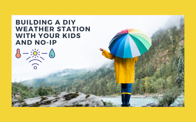 Building a DIY Weather Station with Your Kids and No-IP: A Fun and ...