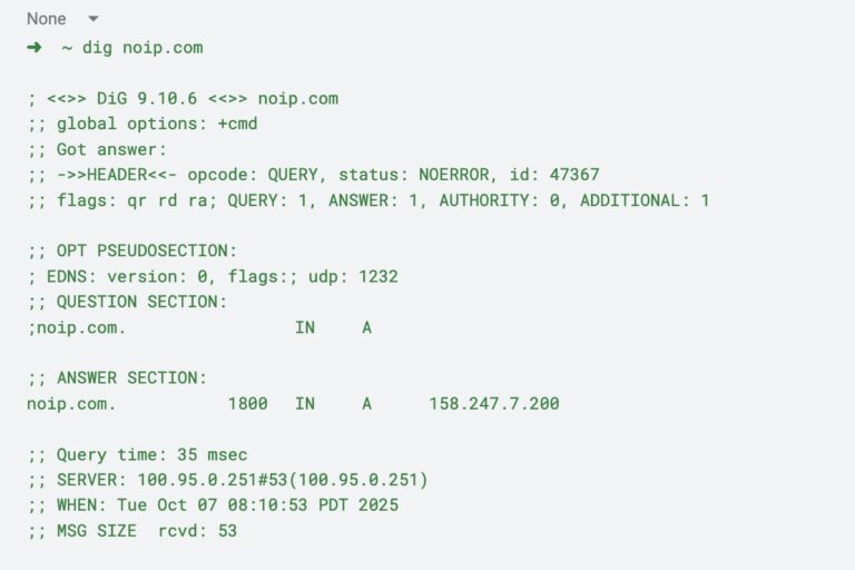 DiG Command Basics: How to Use DiG for DNS Lookups and Troubleshooting How to Use DiG for DNS ...